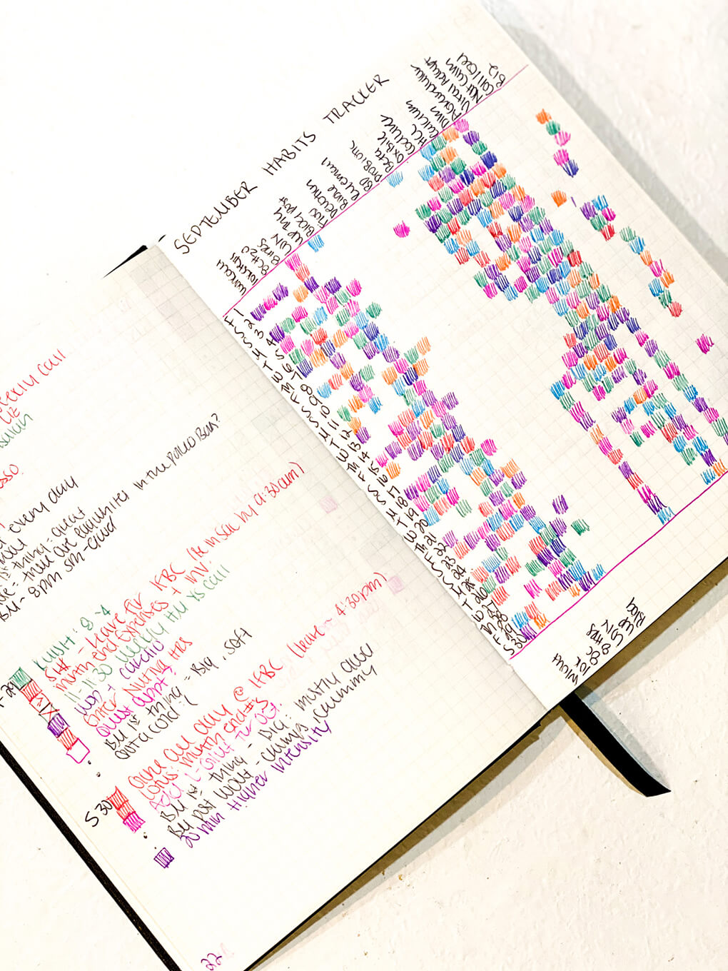 8 Steps to Creating the Best Food Journal - A Gutsy Girl®